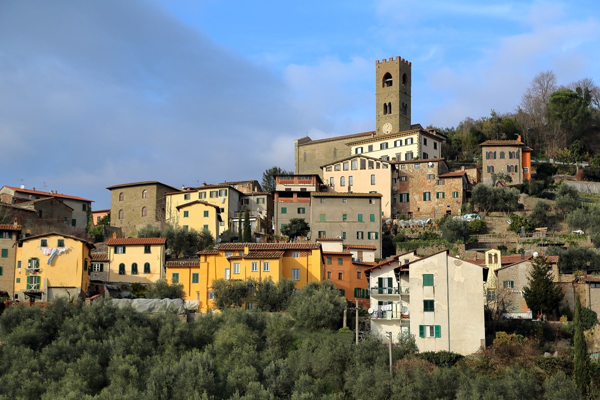 Uzzano 6309