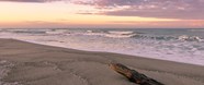 Naturist Nudist Beaches In Tuscany Beaches For Naturist Nudists It s