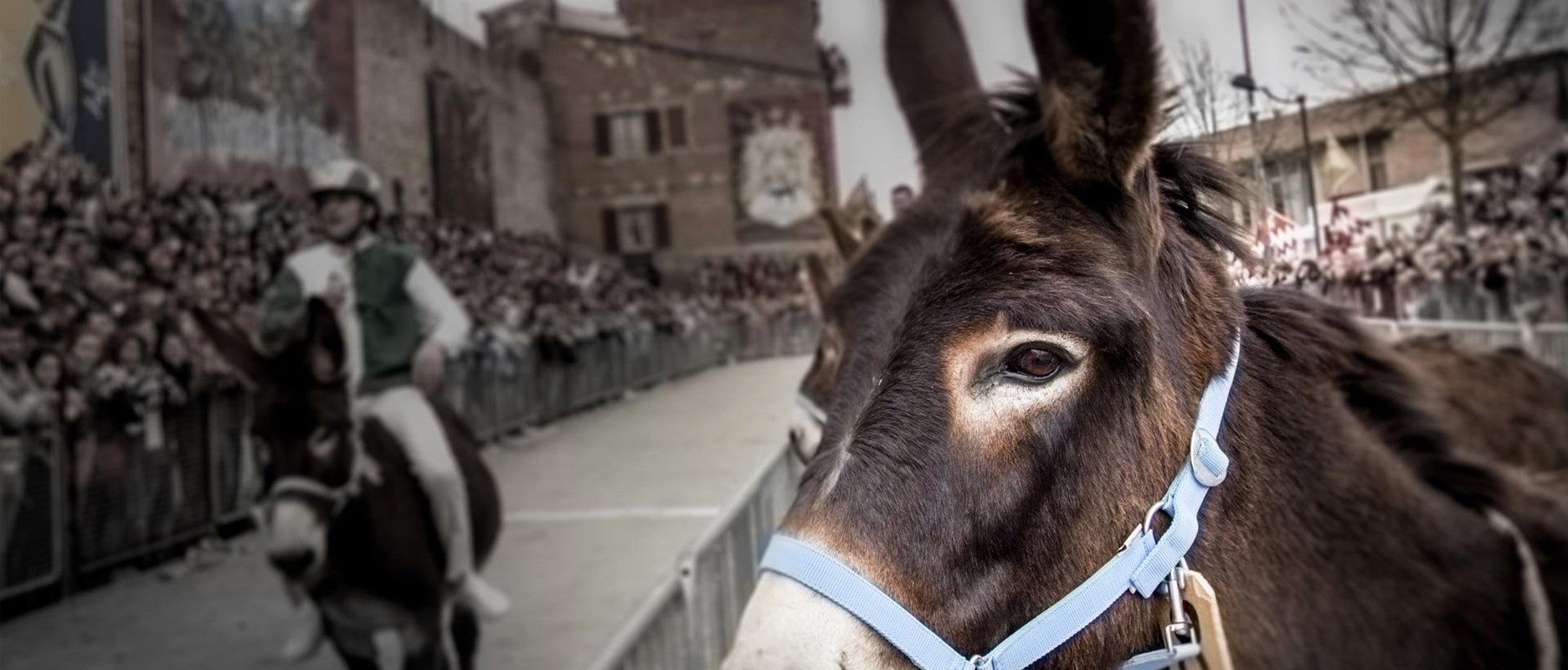 La antigua tradición del Palio dei Somari
