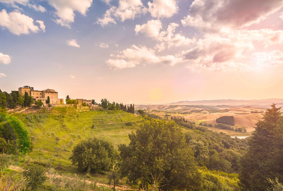 Tenuta di Castelfalfi: Vino e Olio tra Firenze, Pisa e Siena - IT'S TUSCANY